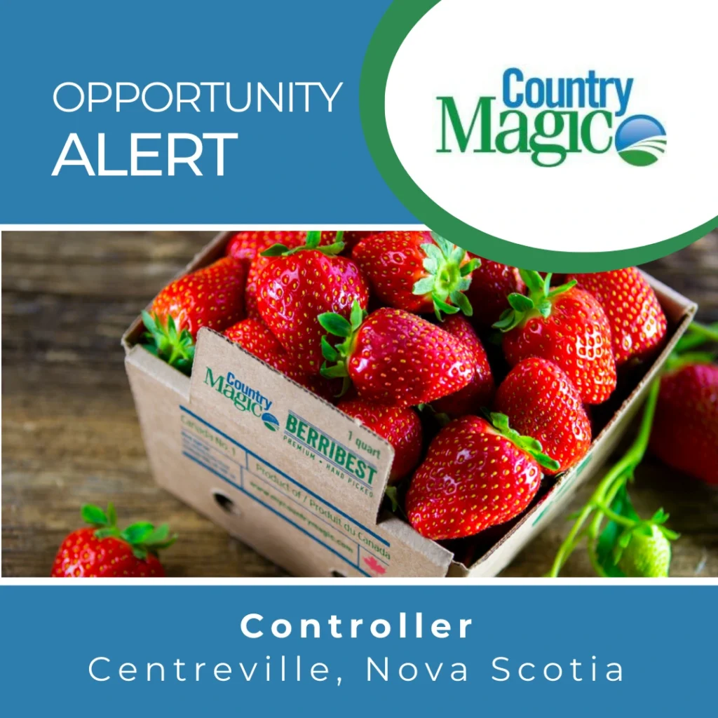 Opportunities - Placemaking 4G